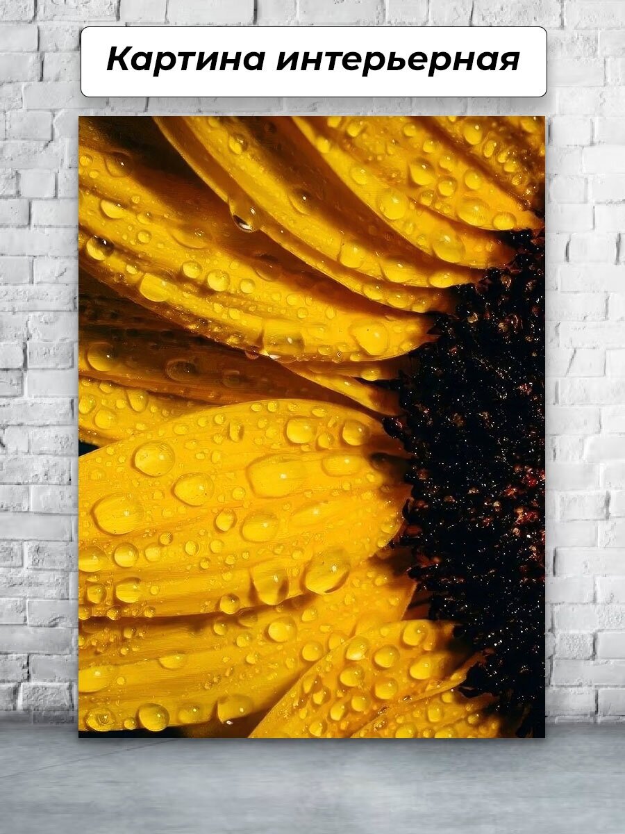 Картины для интерьера 50х70 Подсолнух