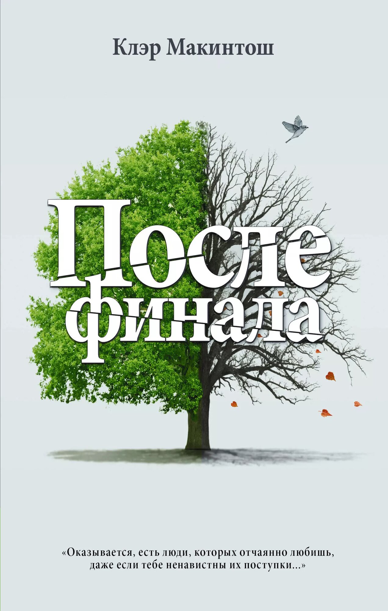 После финала (Клер Макинтош)