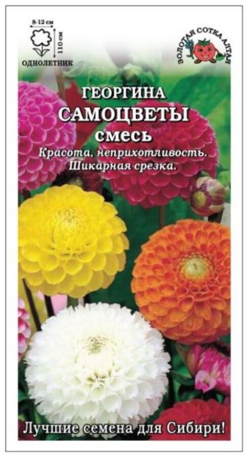 Семена Золотая сотка Алтая "Георгина Самоцветы", шаровидные, смесь сортов, 0,1 г