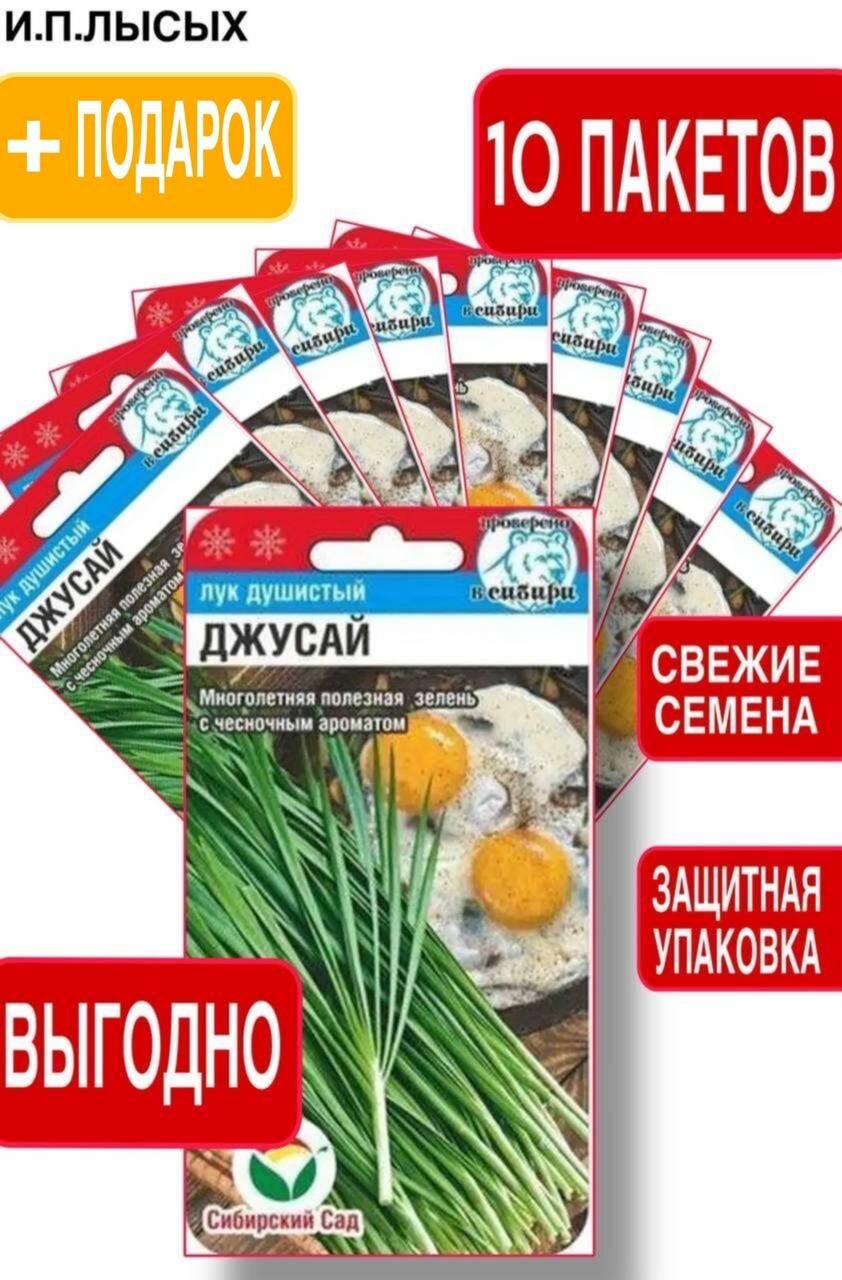 Семена Лук душистый Джусай 10 шт