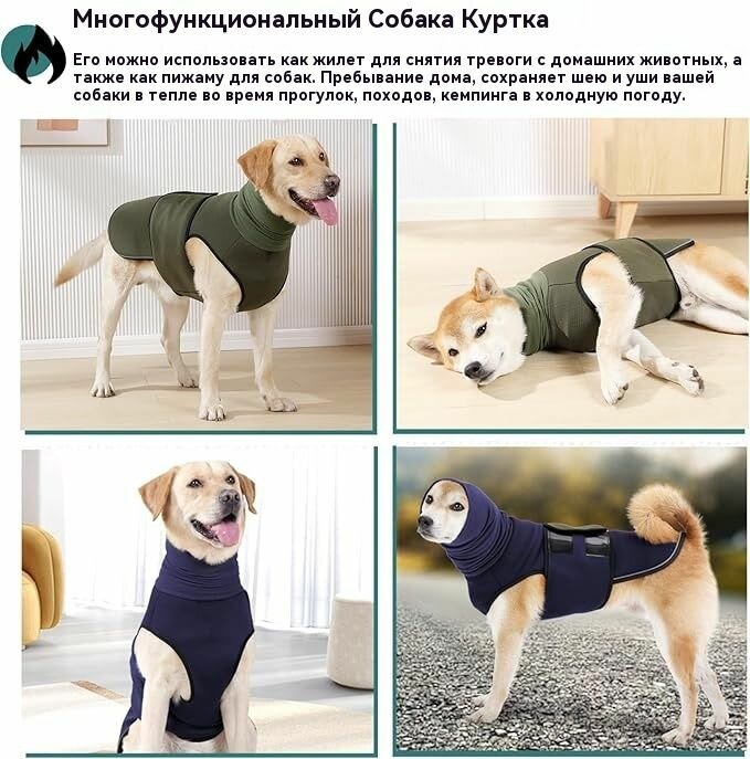 Одежда для животных — фото 1