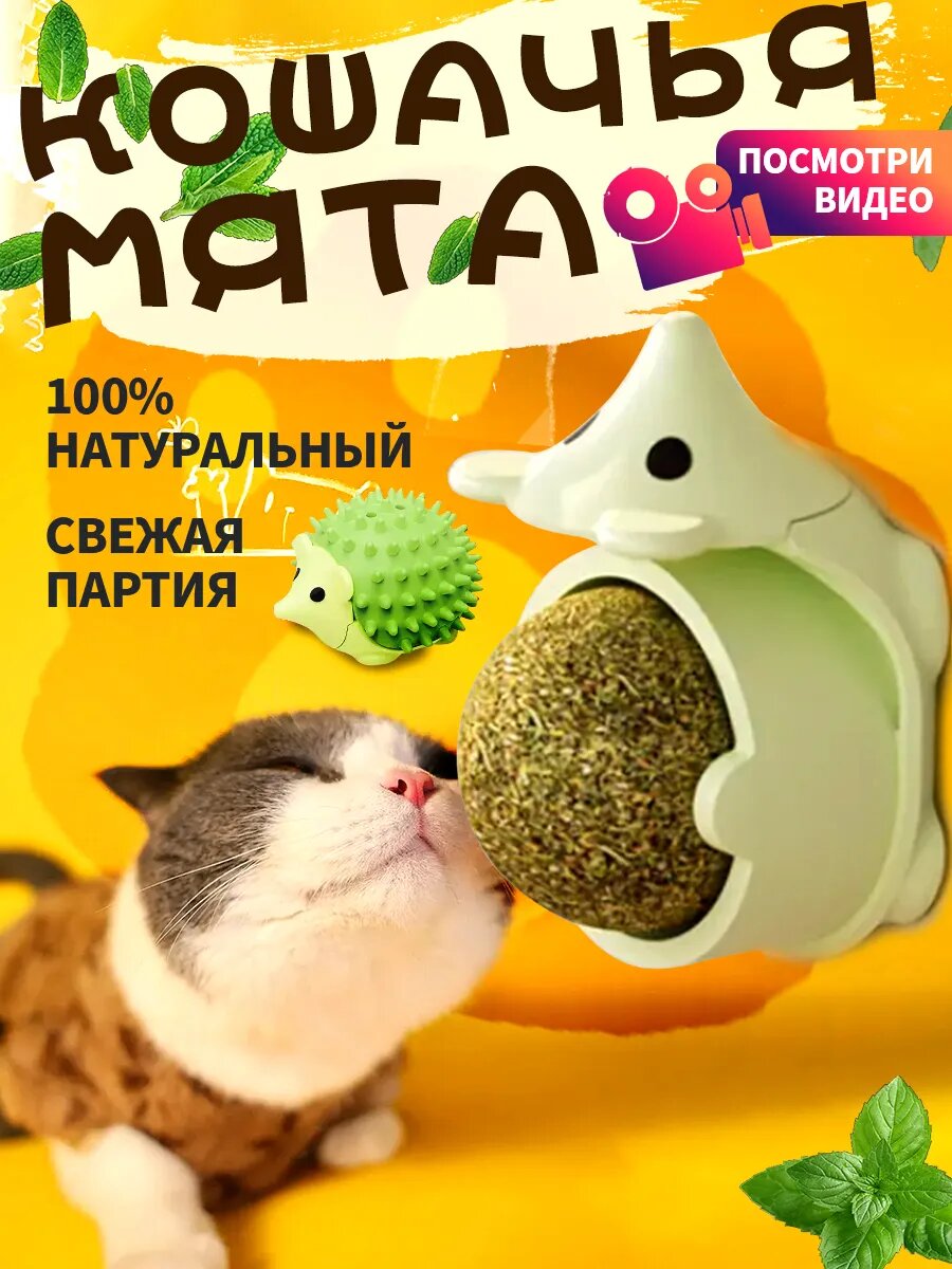 Игрушка для кошек "Кошачья Мята Шарик", 2 в 1, с шипами и кошачьей мятой