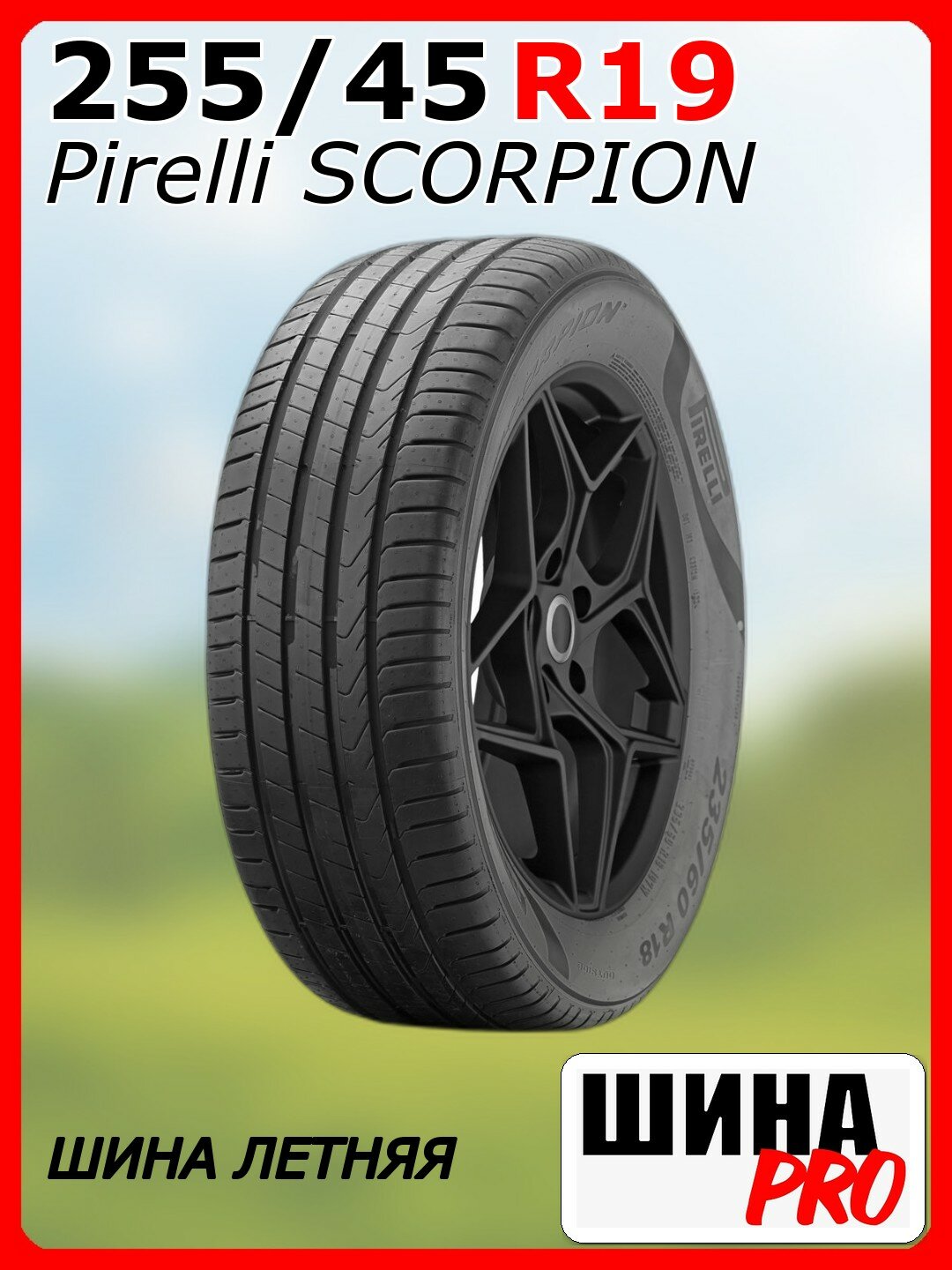 Шина летняя 255/45/19 V 100 SCORPION для легковых автомобилей 5805300