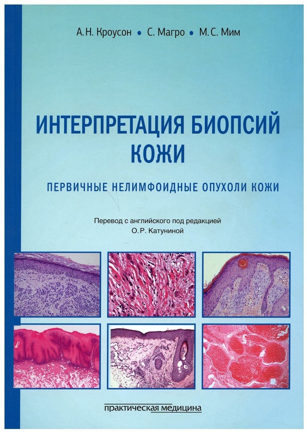 Интерпретация биопсий кожи. Первичные нелимфоидные опухоли кожи