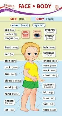 _Плакат(Сфера)_А5 Face-Body (Лицо-Тело) (ШМ-15168)