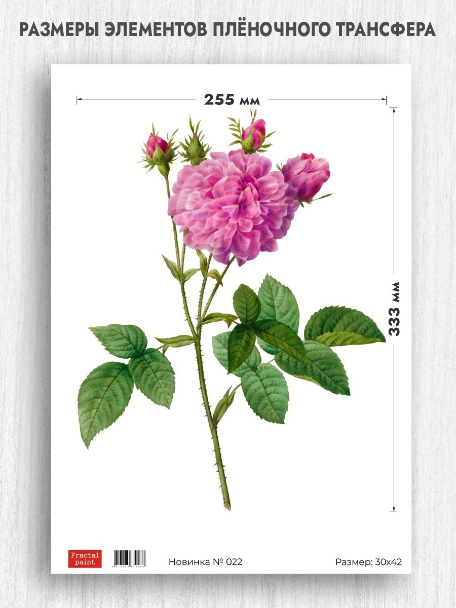 Трансфер для декупажа переводной рисунок для поверхностей новинка 022 А3