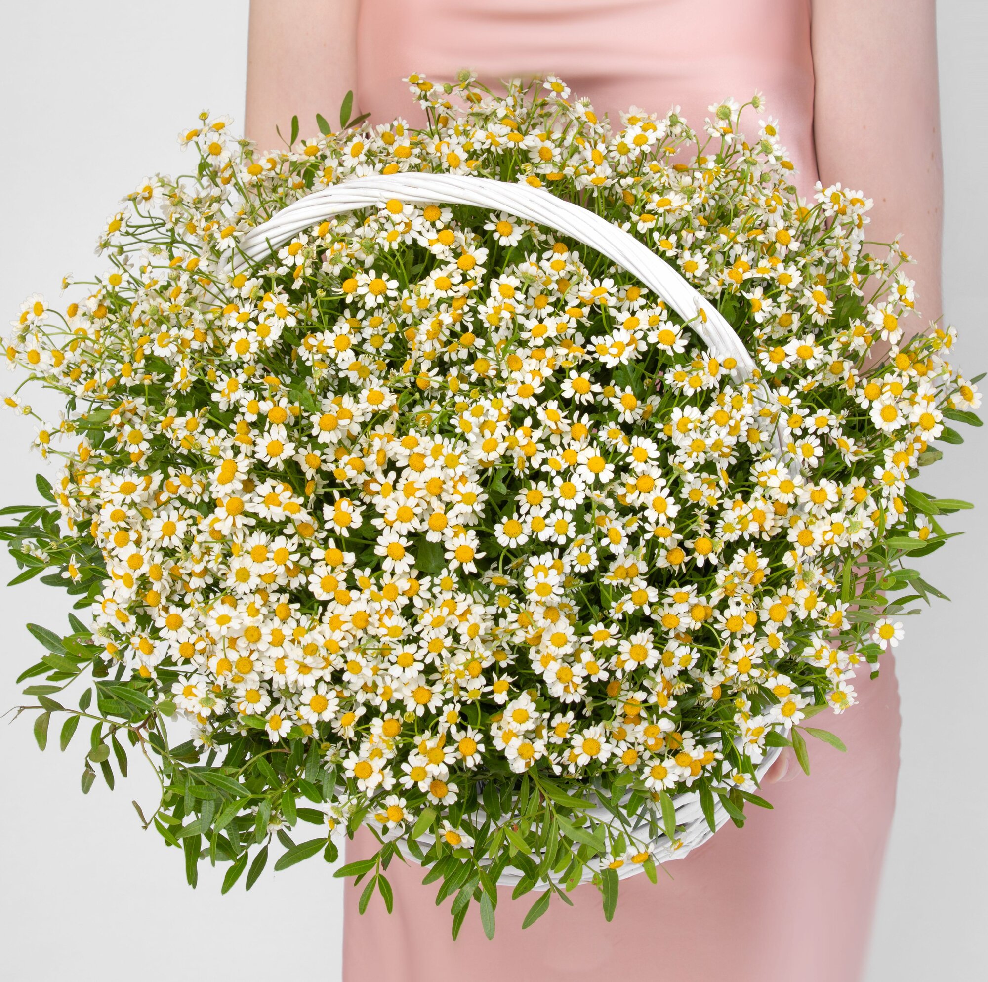 Букет Мегацвет24 "Кустовые Ромашки", 35 шт, кремовые, в корзине