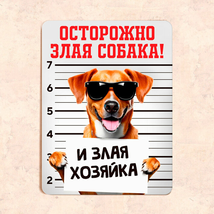 Табличка "Осторожно, злая собака! и злая хозяйка", 22,5х30 см, УФ-печать, ПВХ