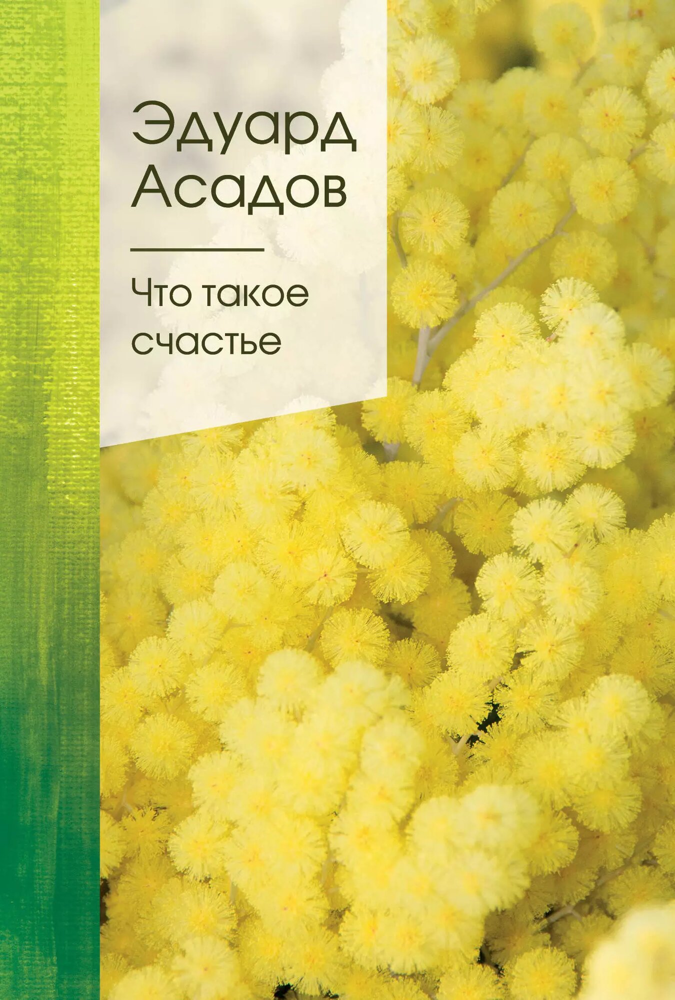 Что такое счастье (Эдуард Асадов)