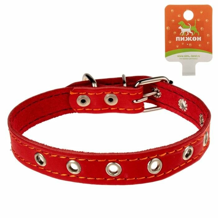 Ошейник кожаный Пижон однослойный безразмерный, 45х2 см, ОШ 18-39 см, красный