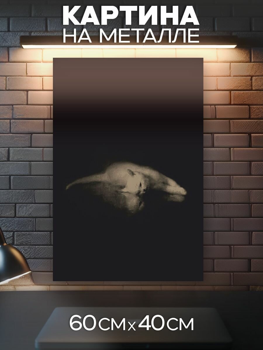 Картина на металле Cat - кошка