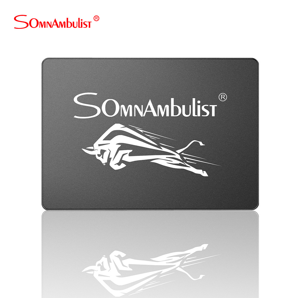 Somnambulist 2,5-дюймовый твердотельный накопитель SSD SATA3