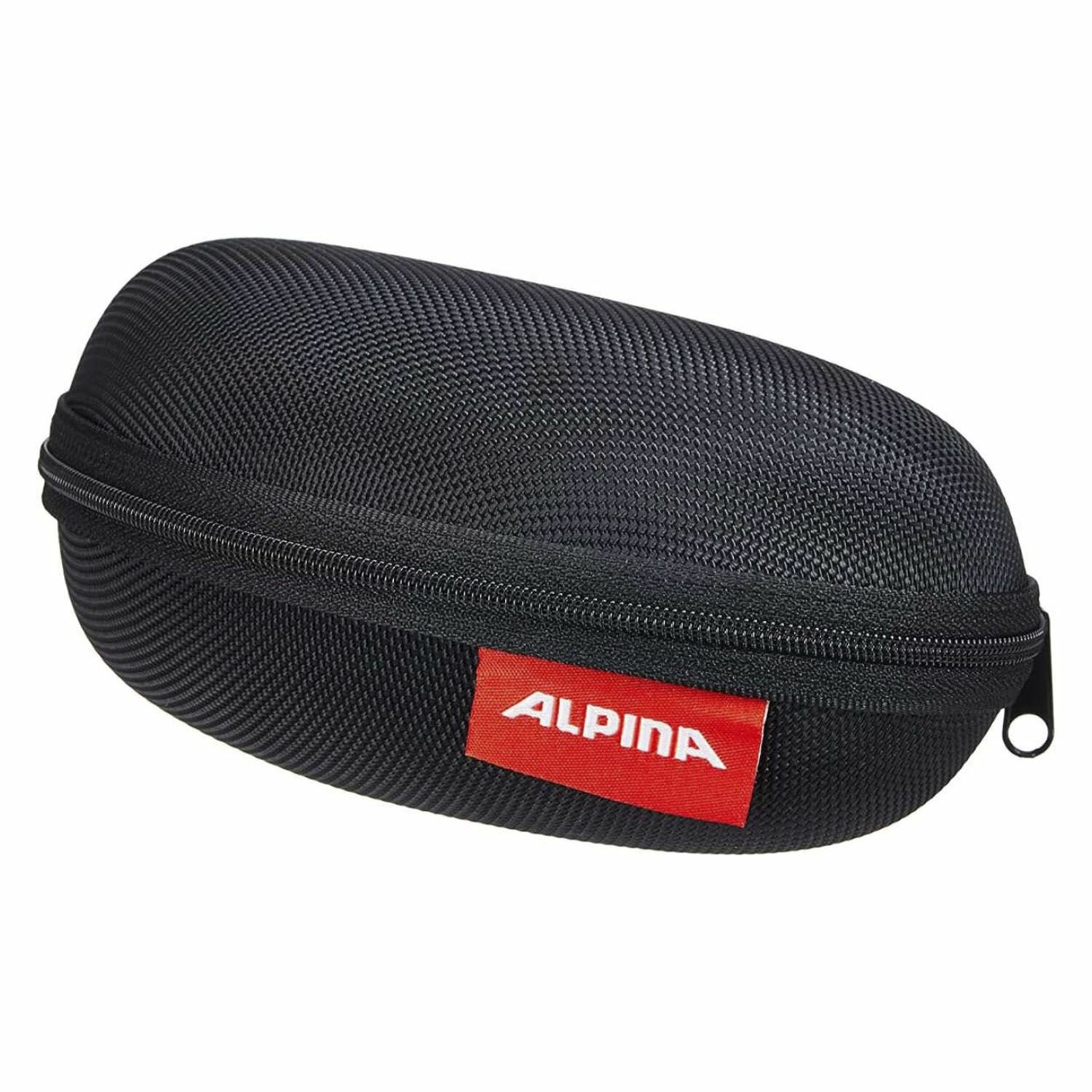 Чехол для очков ALPINA Lifestyle Case Black