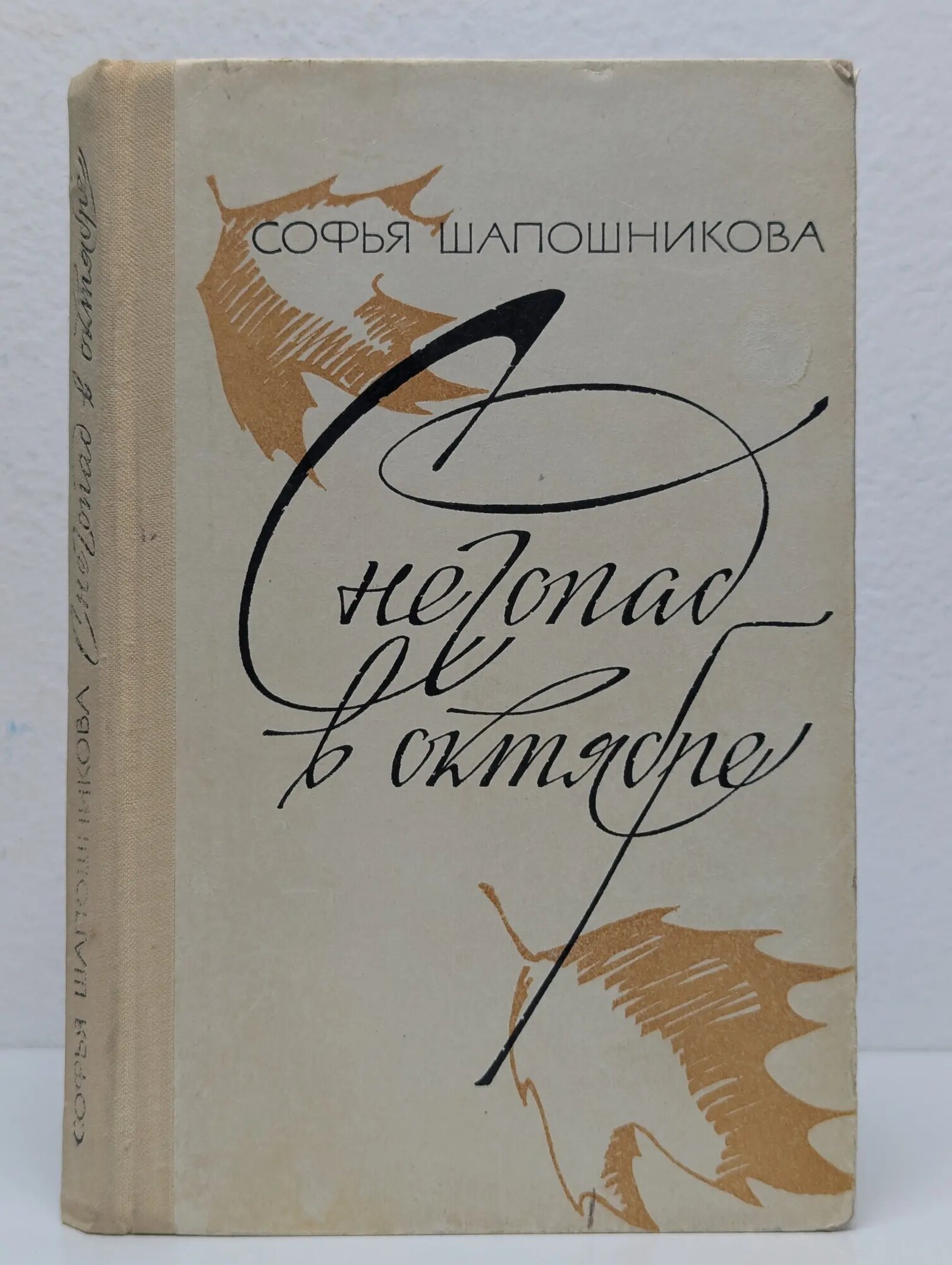 Снегопад в октябре Шапошникова Софья Сауловна 1978