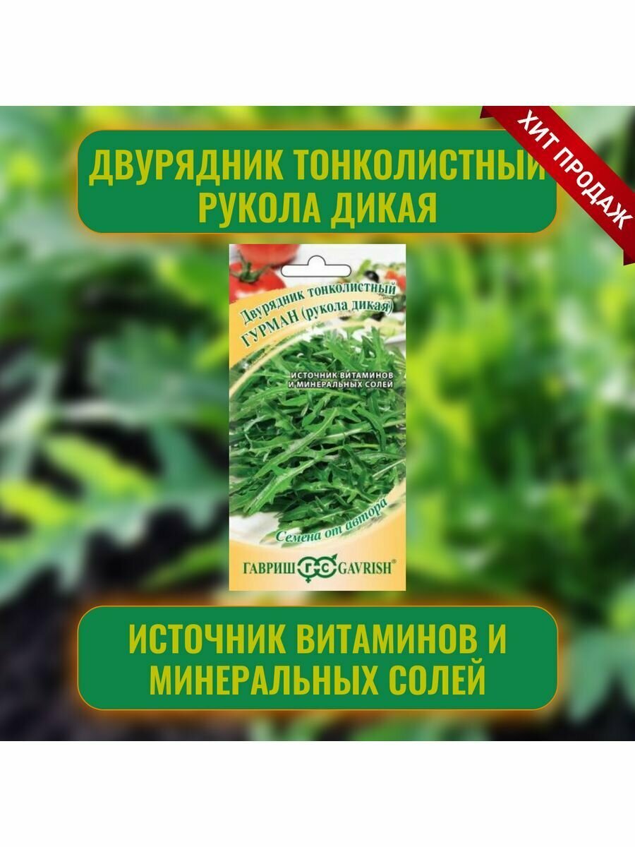 Двурядник тонколистный (Рукола дикая) Пасьянс цв. п 0,5г Гавриш
