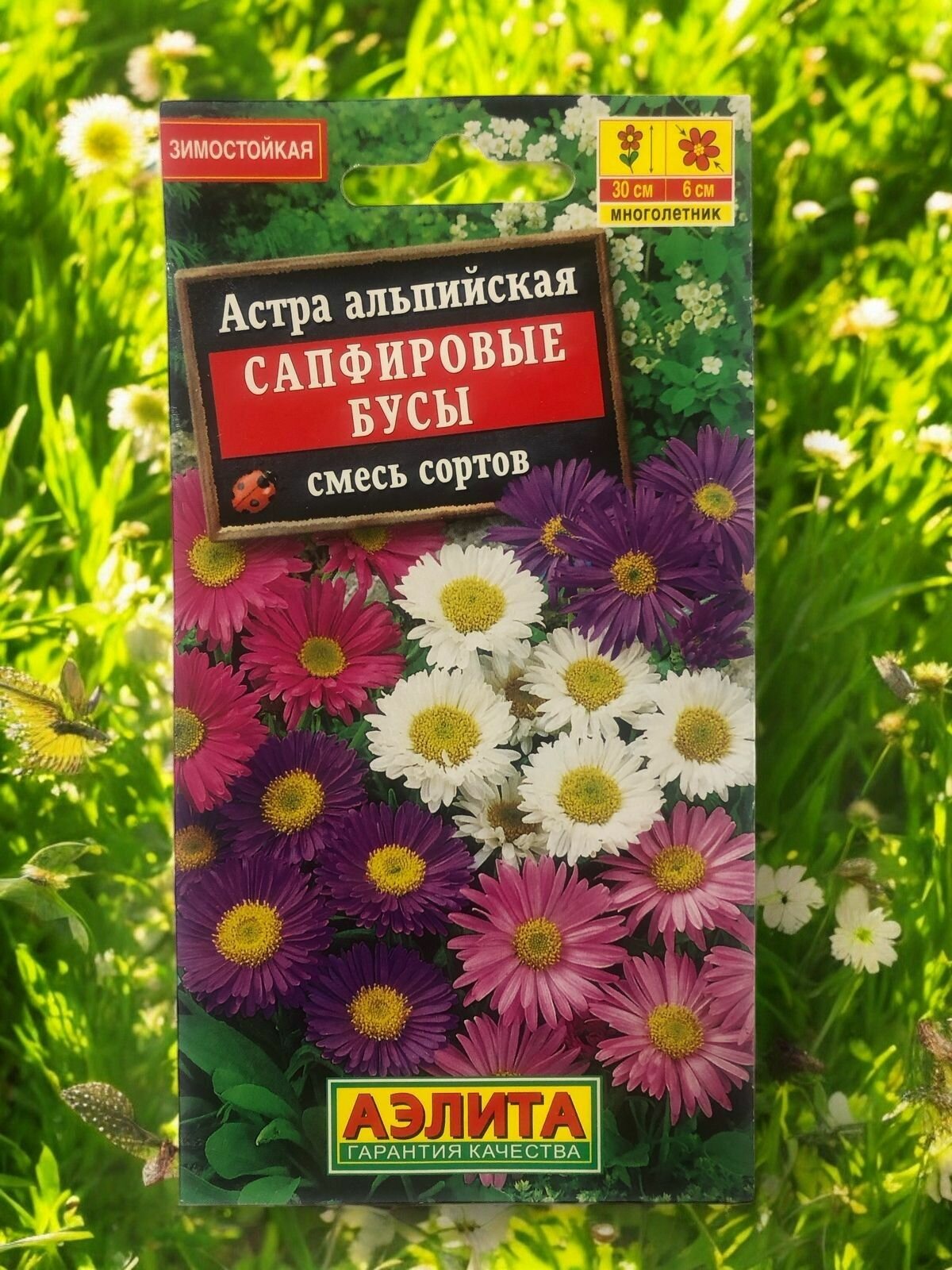 Астра Сапфировые бусы альпийская смесь цв. п 0,1г