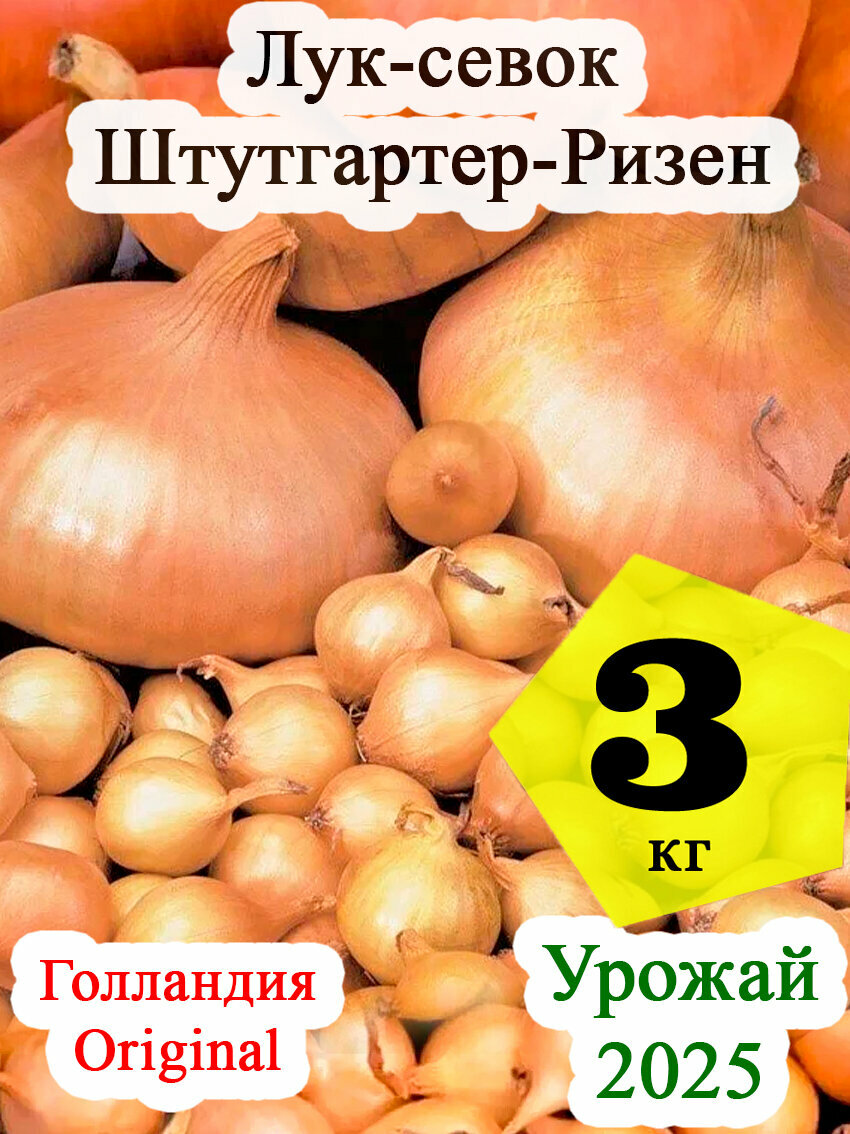 Лук севок Штутгартер Ризен 3 кг Голландия