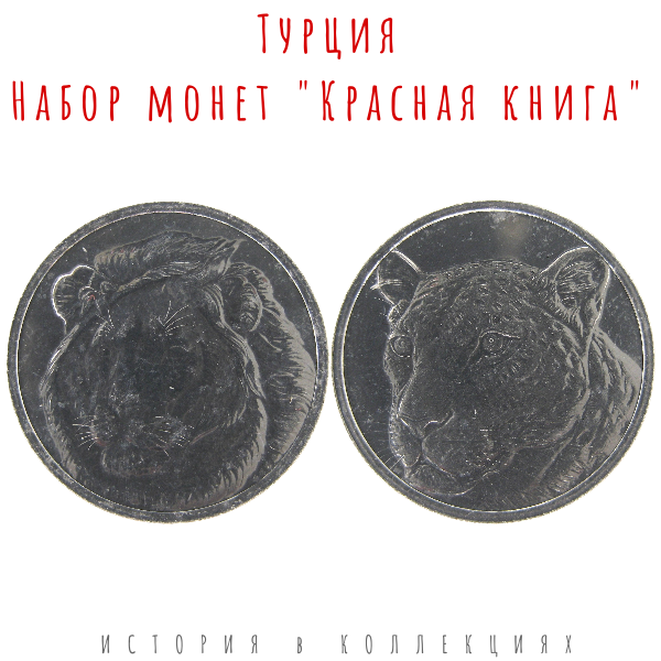 Турция Лев и Ягуар / Набор из 2 монет (1 куруш 2022) / AU