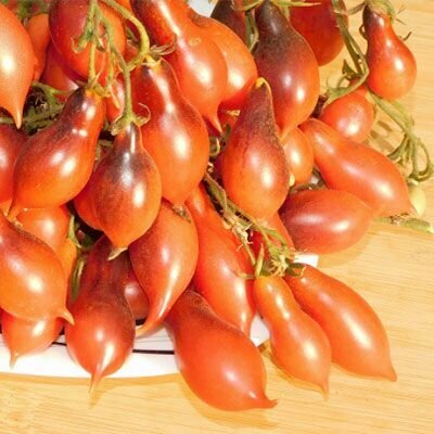 Коллекционные семена томата Козула 14 Мегагрон Х Кумкват Розовый Опал