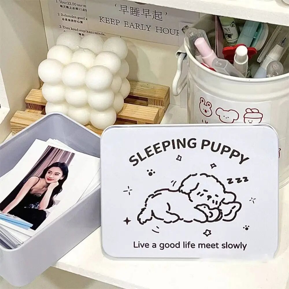 Белая железная коробочка для фотокарточек Kpop "Sleeping Puppy"