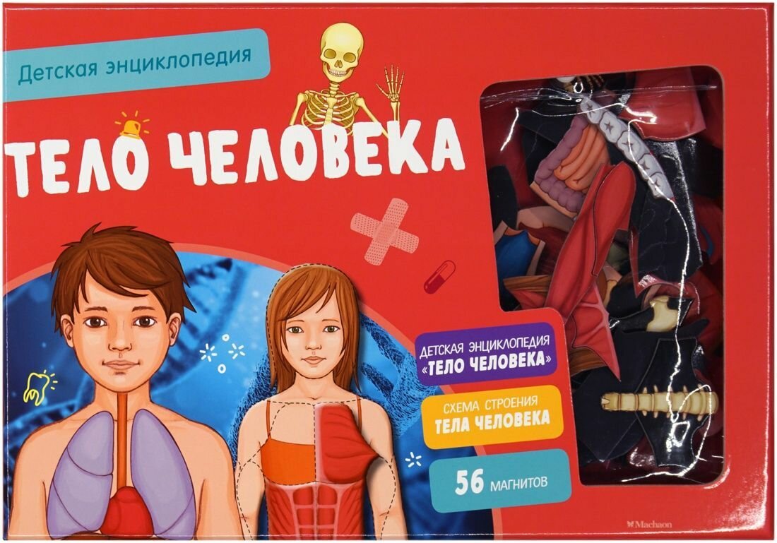 Детская энциклопедия "Тело человека". Схема строения тела человека.56 магнитов