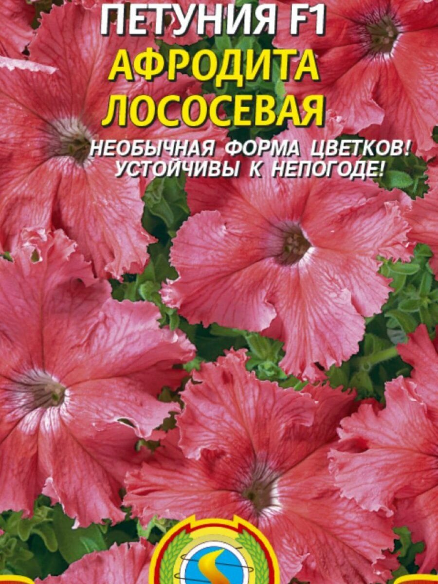 Петуния Афродита Лососевая крупноцветковая F1 10 шт, Плазменные семена