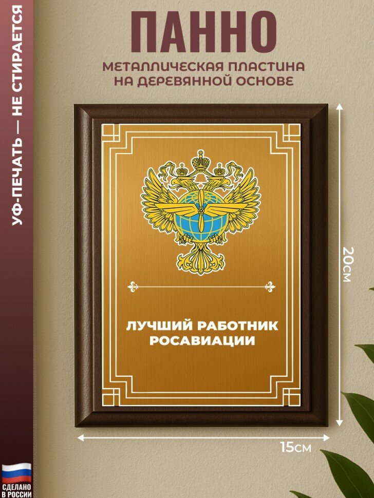 Настенный диплом "Лучший работник росавиации" Гражданская авиация