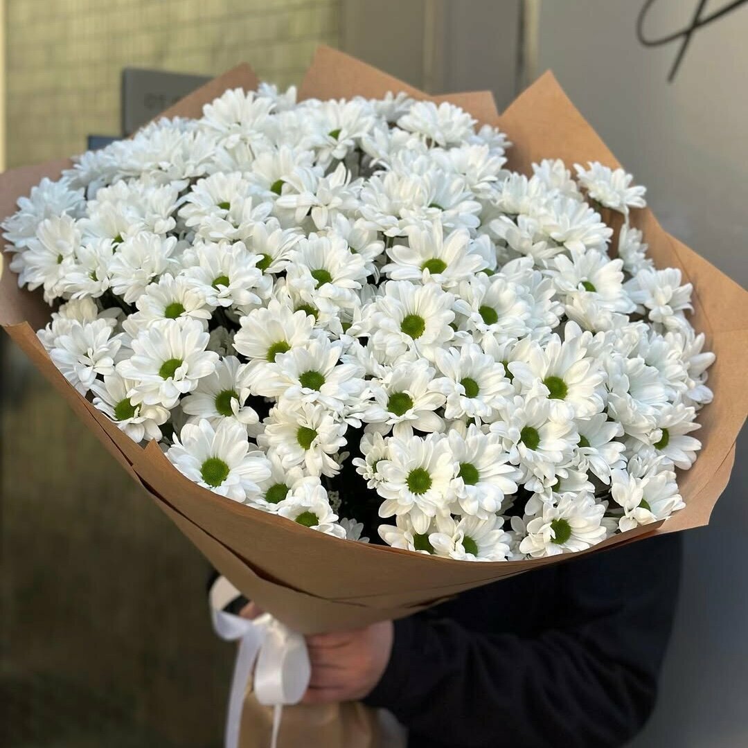 Букет из белых ромашковых хризантем 51 шт, красивый букет цветов, шикарный, премиум цветы, премиум букет