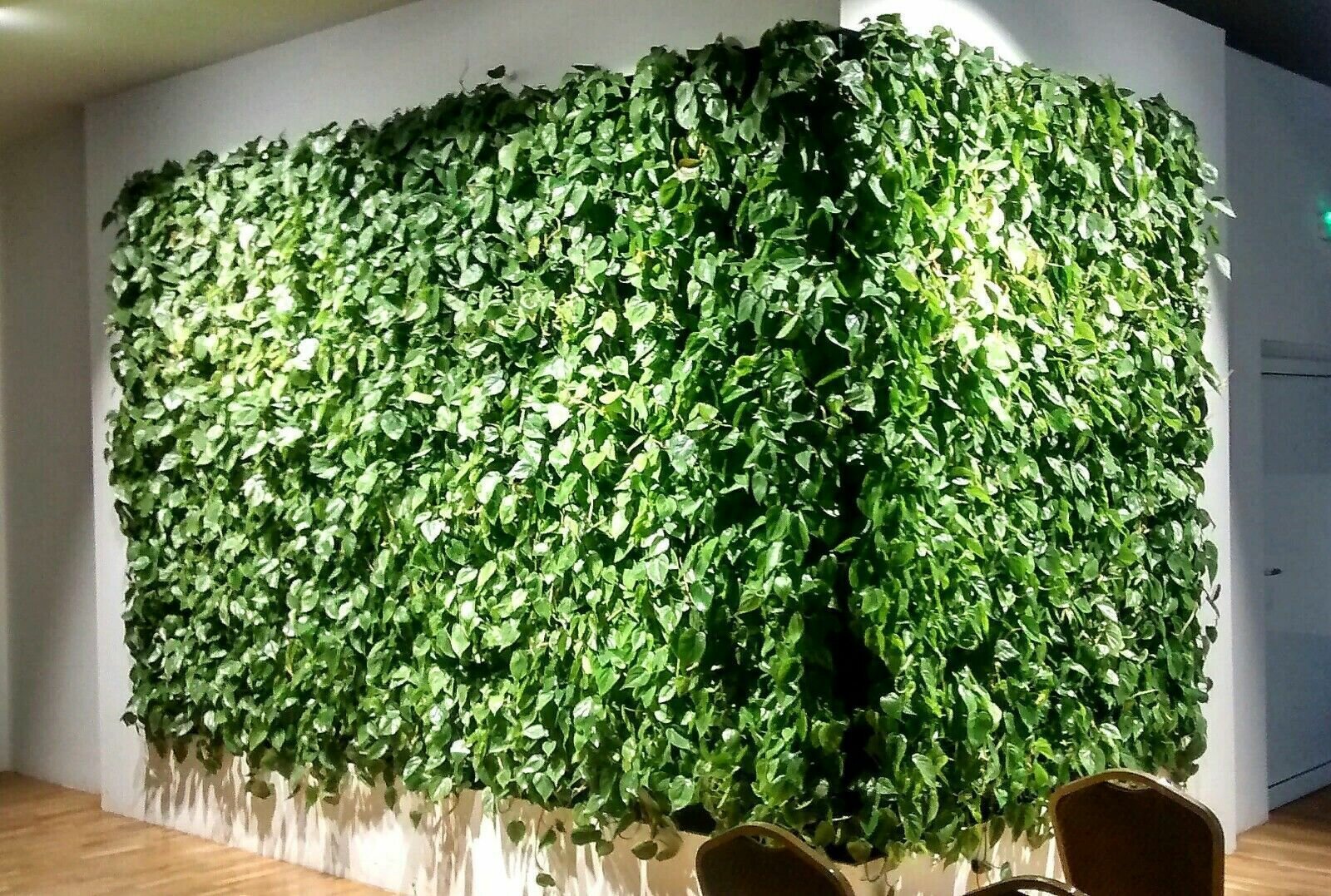 Искусственные цветы