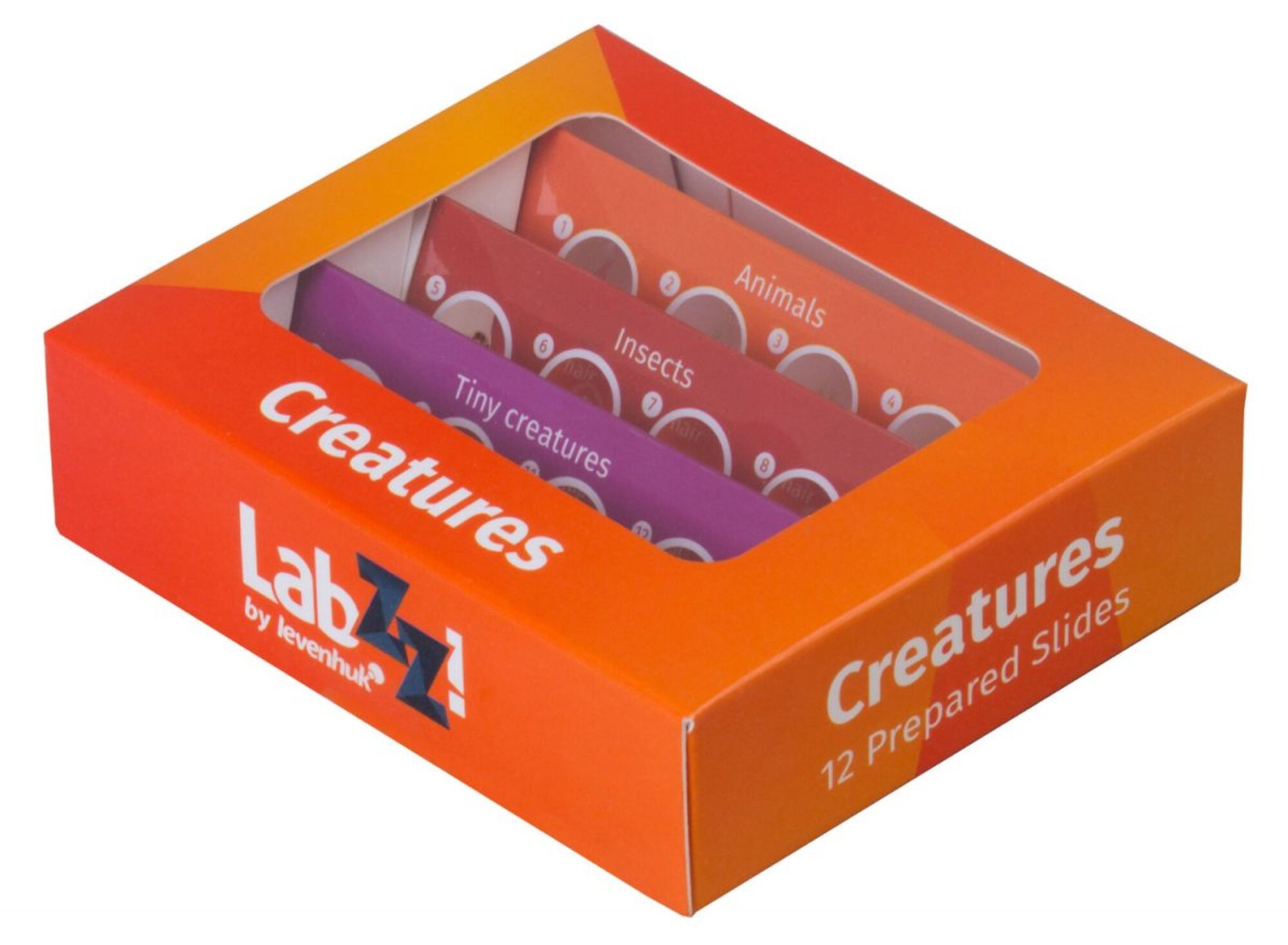 Набор микропрепаратов Levenhuk LabZZ C12 "Существа", для микроскопа, 12 слайдов