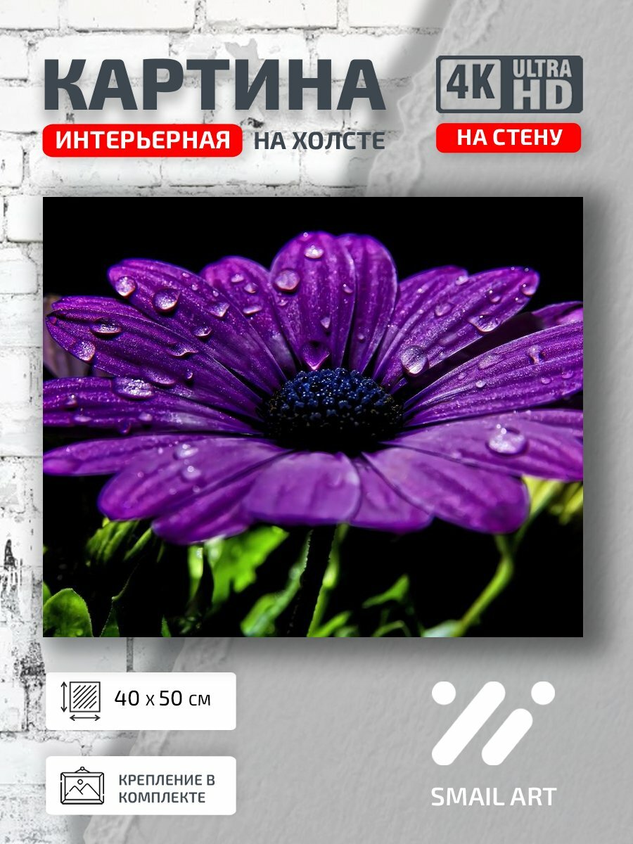 Картина на холсте интерьерная 40 на 50 на стену Капли Mood для кабинета атмосфера интерьер