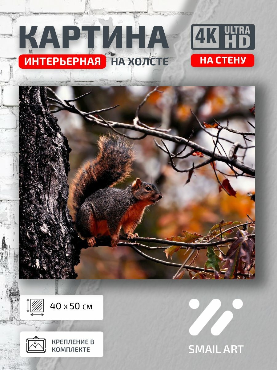 Картина на холсте интерьерная 40 на 50 на стену Ветке Mood для спальни атмосфера интерьер