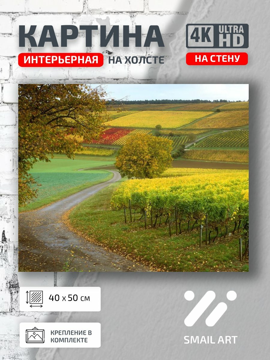 Картина на холсте интерьерная 40 на 50 на стену Франция France для студии атмосфера декор