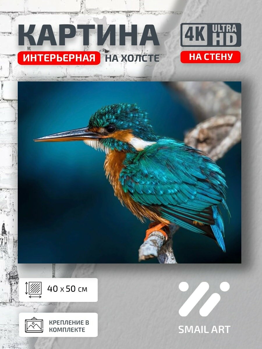 Картина на холсте интерьерная 40 на 50 на стену Птицы птица для спальни атмосфера