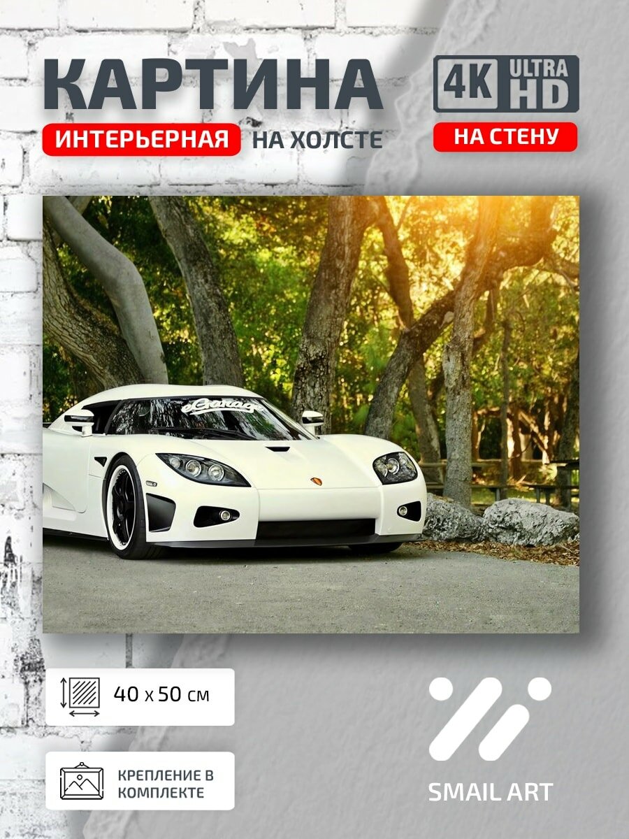 Картина на холсте интерьерная 40 на 50 на стену Koenigsegg CCX для спальни атмосфера