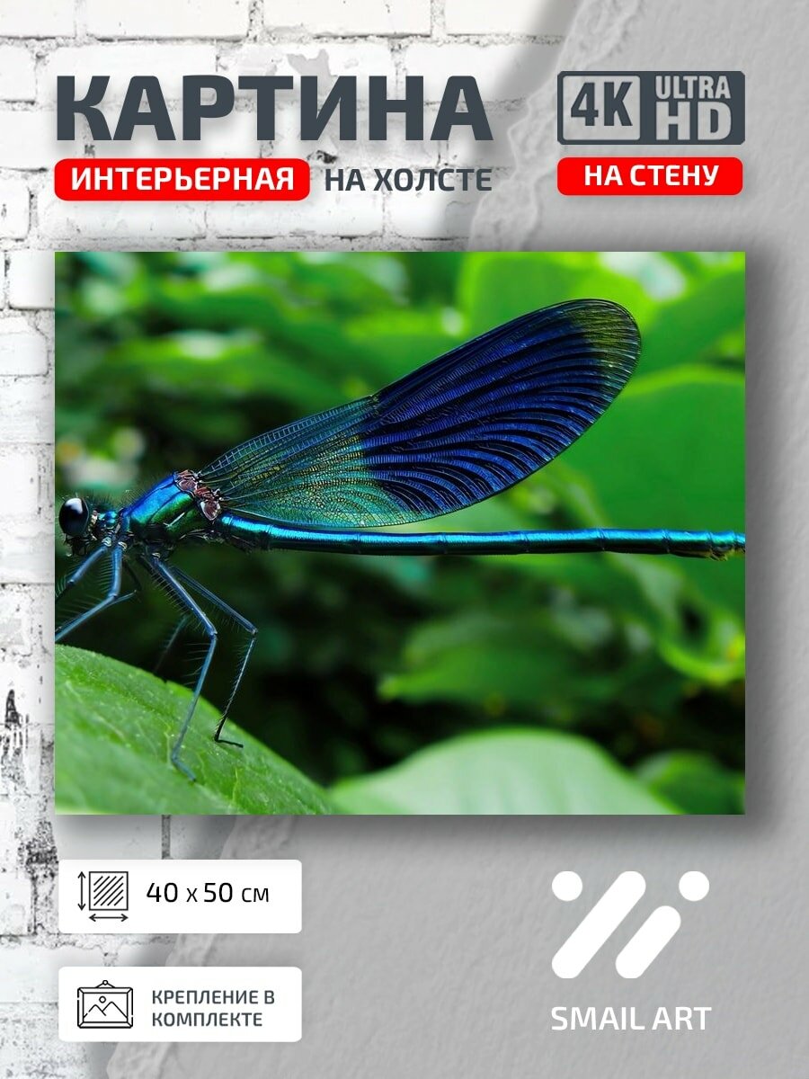 Картина на холсте интерьерная 40 на 50 на стену Макро Dragonfly для геймера фэнтези