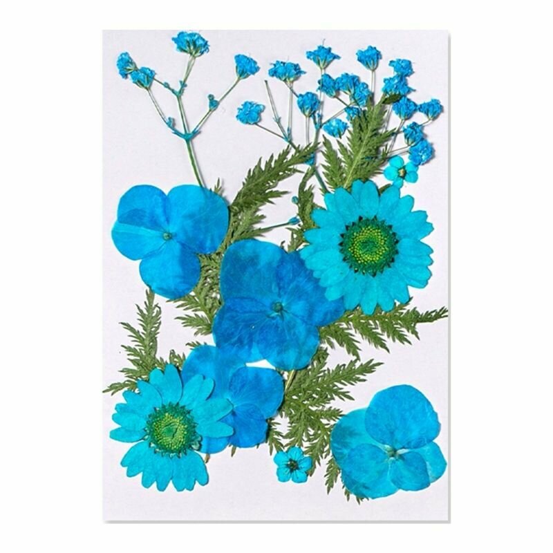 1 упаковка из 12 штук, красочная серия материалов с тиснением в виде сухих цветов-синий