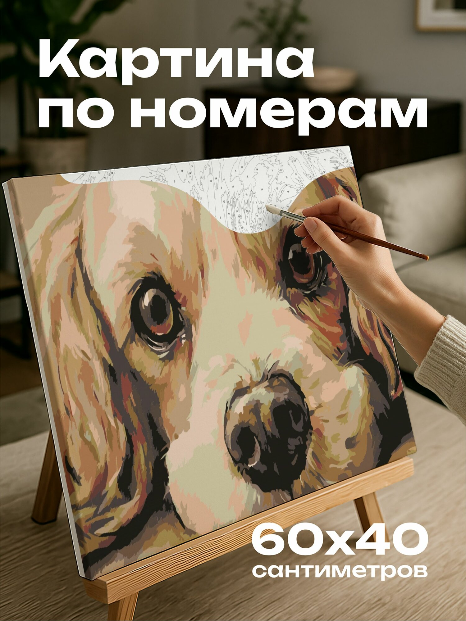 Картина по номерам 60x40 см, акриловая картина, кокер-спаниель, верность, привязанность, взгляд, характер, порода