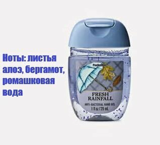 Bath & Body Works / Санитайзер для рук антисептик Fresh Rainfall