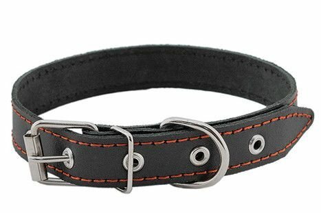 HOMEPET Ошейник для собак кожаный, простой, простроченный, черный 41 - 53 см, 30 мм