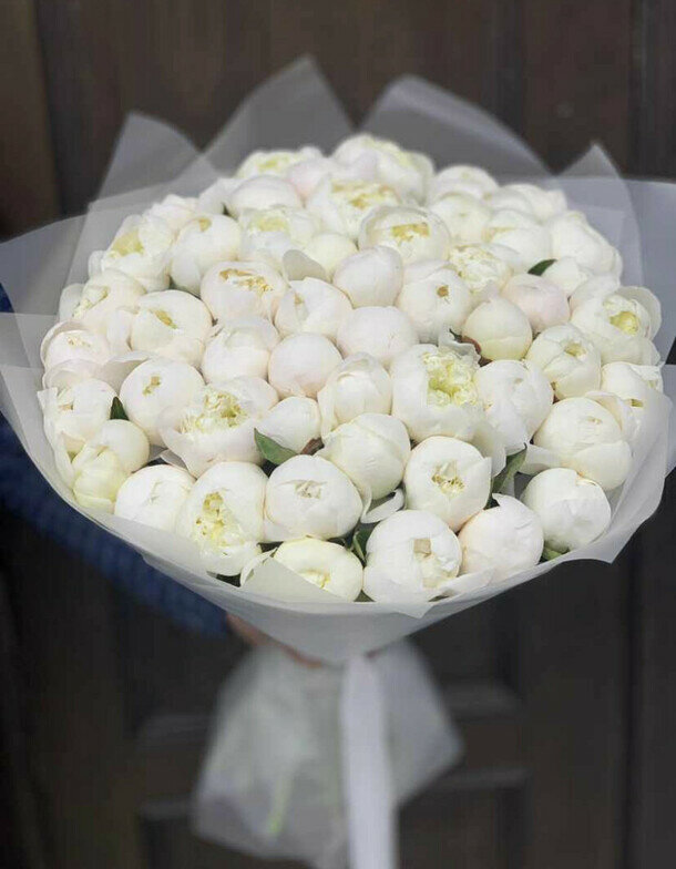 Букет Well Flowers "Белоснежные пионы", 49 штук, круглый, XL, в пленке, букет свежих цветов