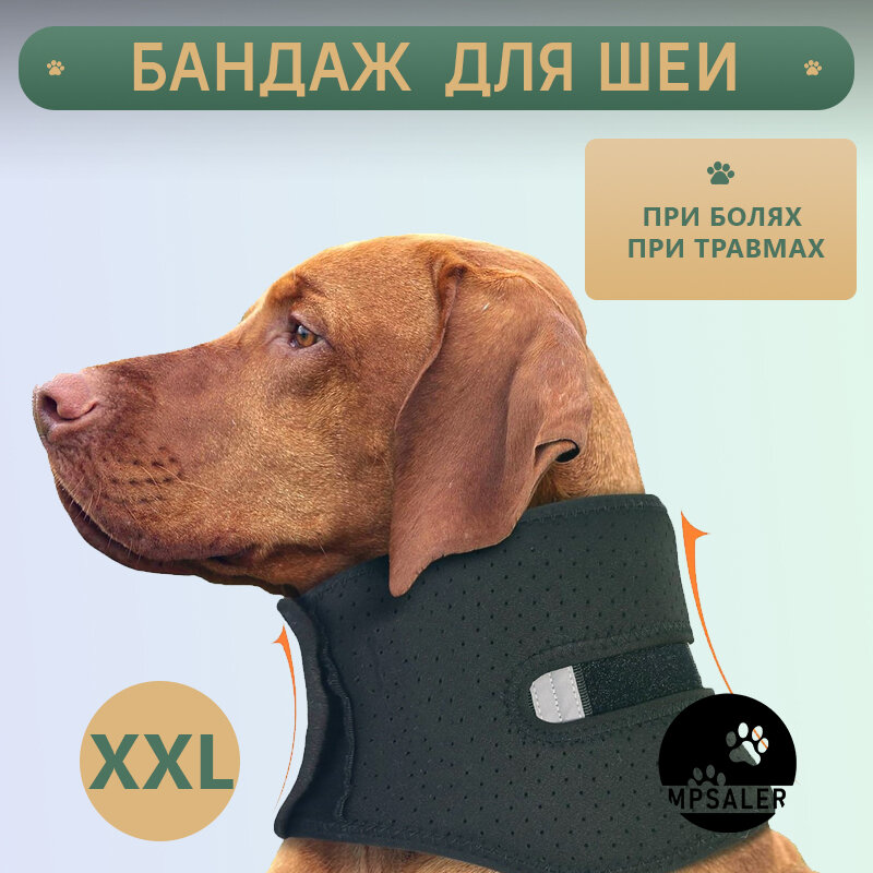 Бандаж для собак, на шею. С пружинной опорой, для поддержки. Размер XXL.
