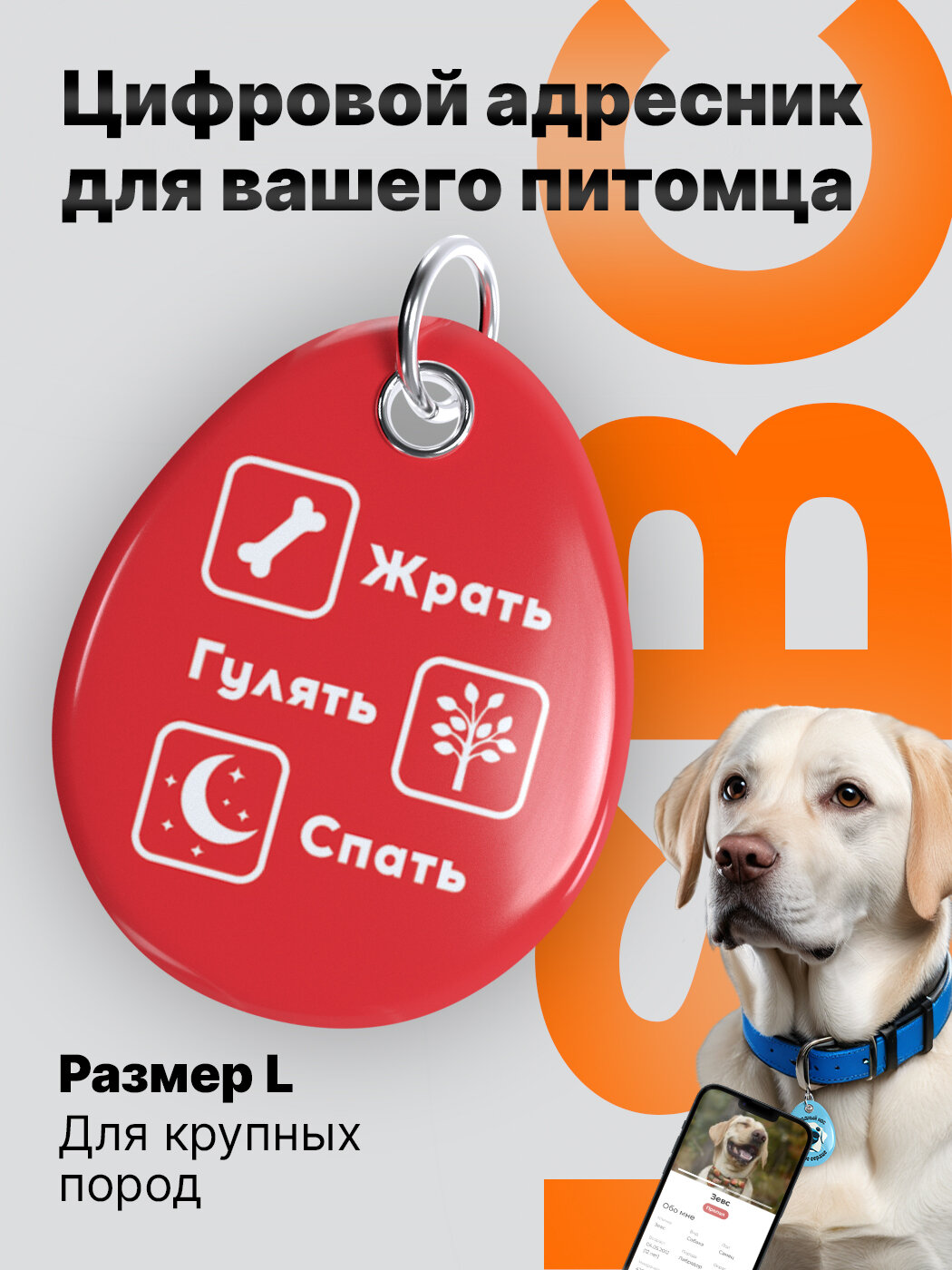 Адресник для собак средних и крупных пород от ISBC с NFC и QR-кодом, Жрать, Гулять, Спать, красный