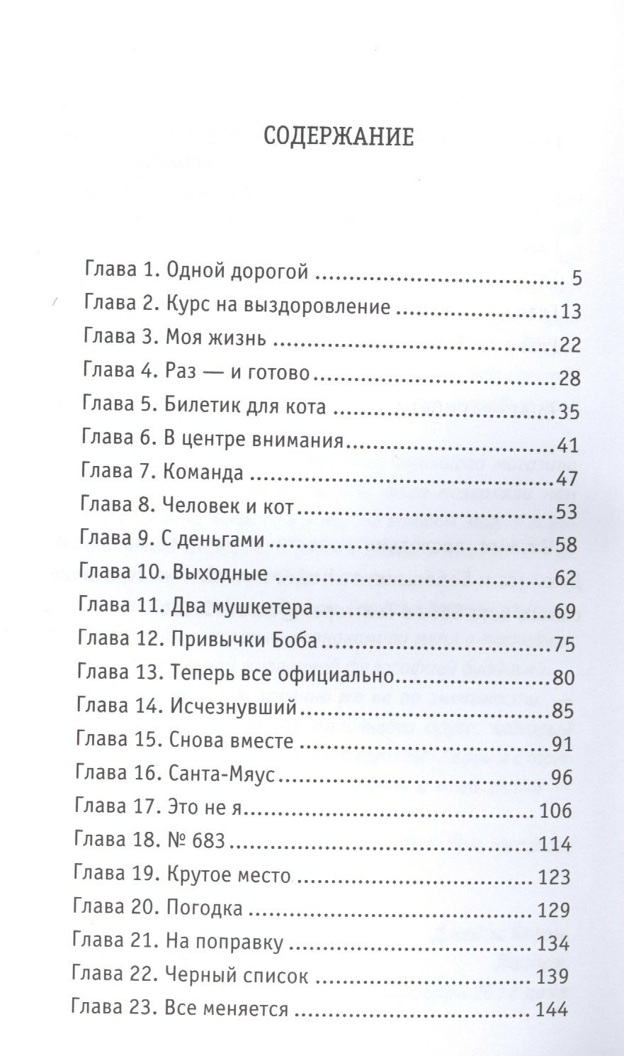 Боб - необычный кот — фото 1