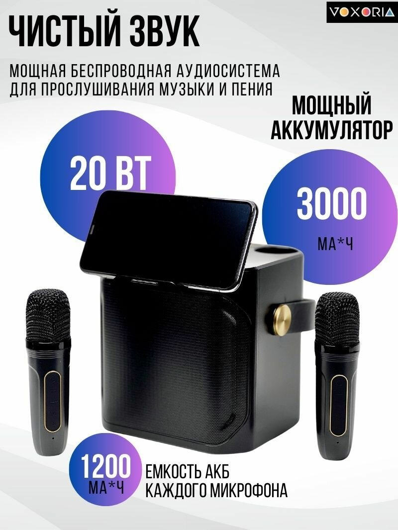 Караоке-система — фото 1