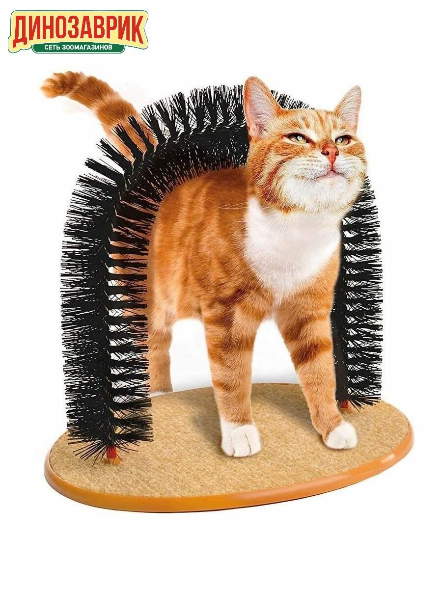 Когтеточка