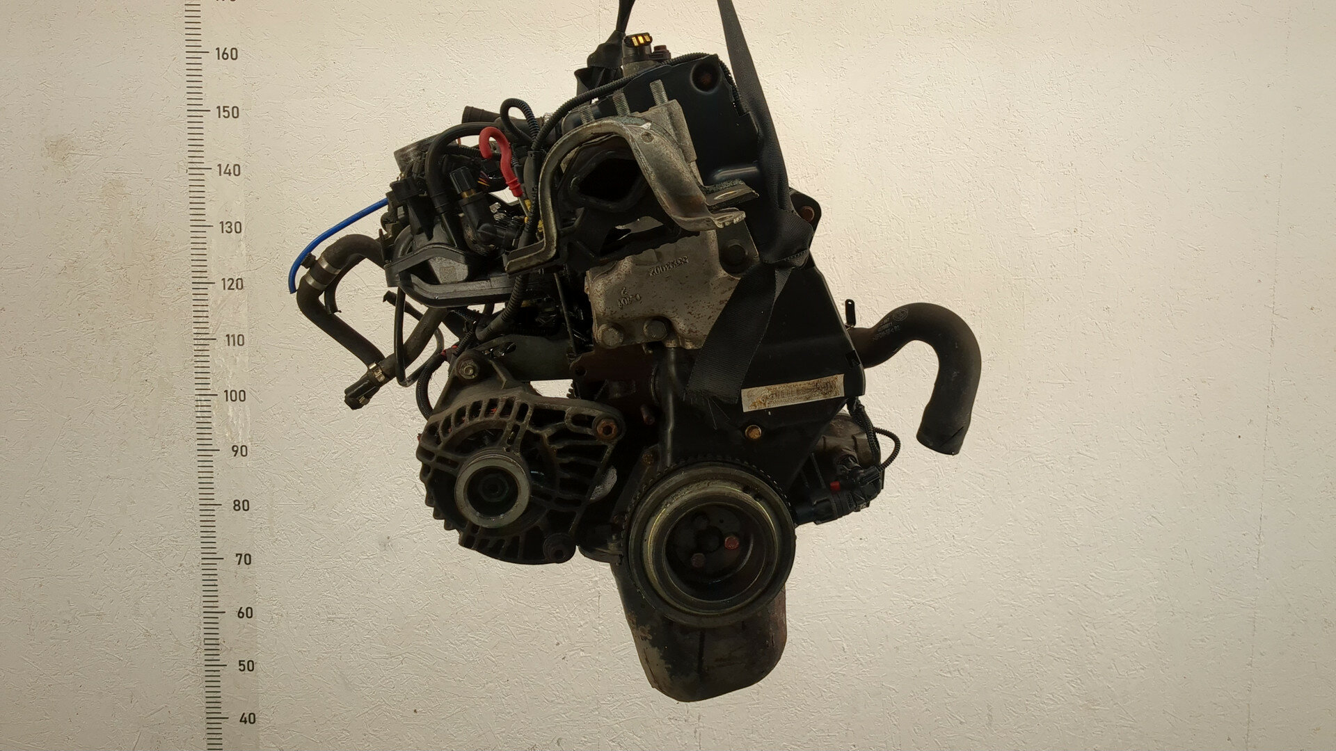 Двигатель (ДВС) Fiat Panda 187 A 1.000 Б/У