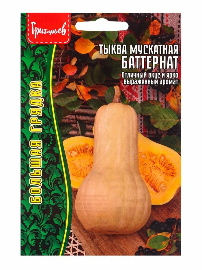 Семена Тыква Баттернат мускатная 5шт. 12.29 г.