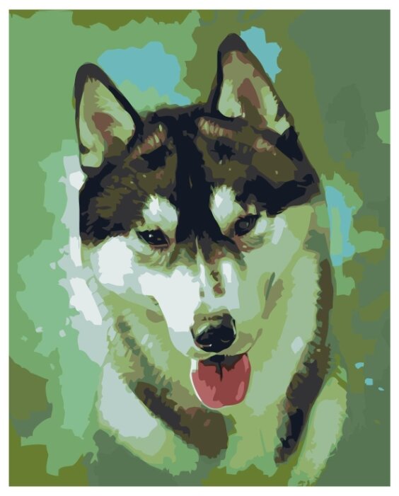 Хаски Раскраска картина по номерам на холсте