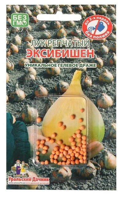Семена Лук репчатый «Эксибишен», 40 шт, «Уральский Дачник»